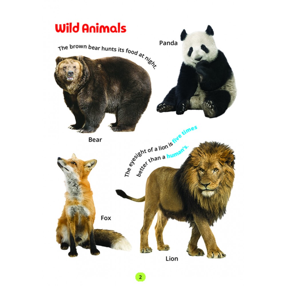 MY FIRST ANIMALS,ANIMALS & THEIR YOUNG ONES